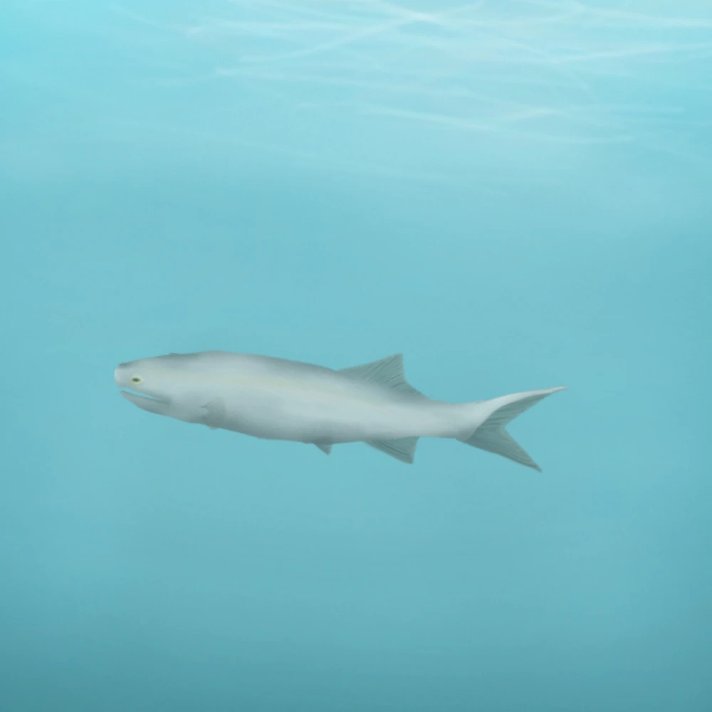 Paleozoic fish pt 3 | Fandom