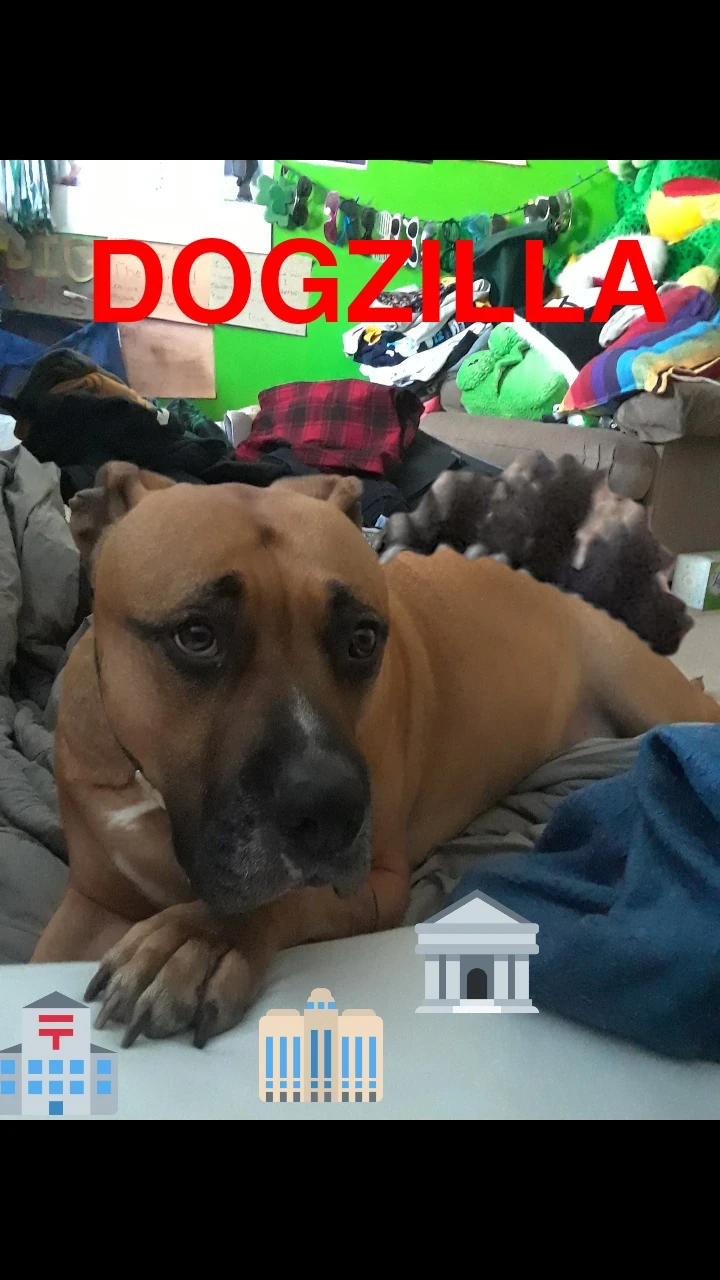Dogzilla | Fandom