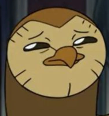 Daily Funny Hooty Pic | Fandom