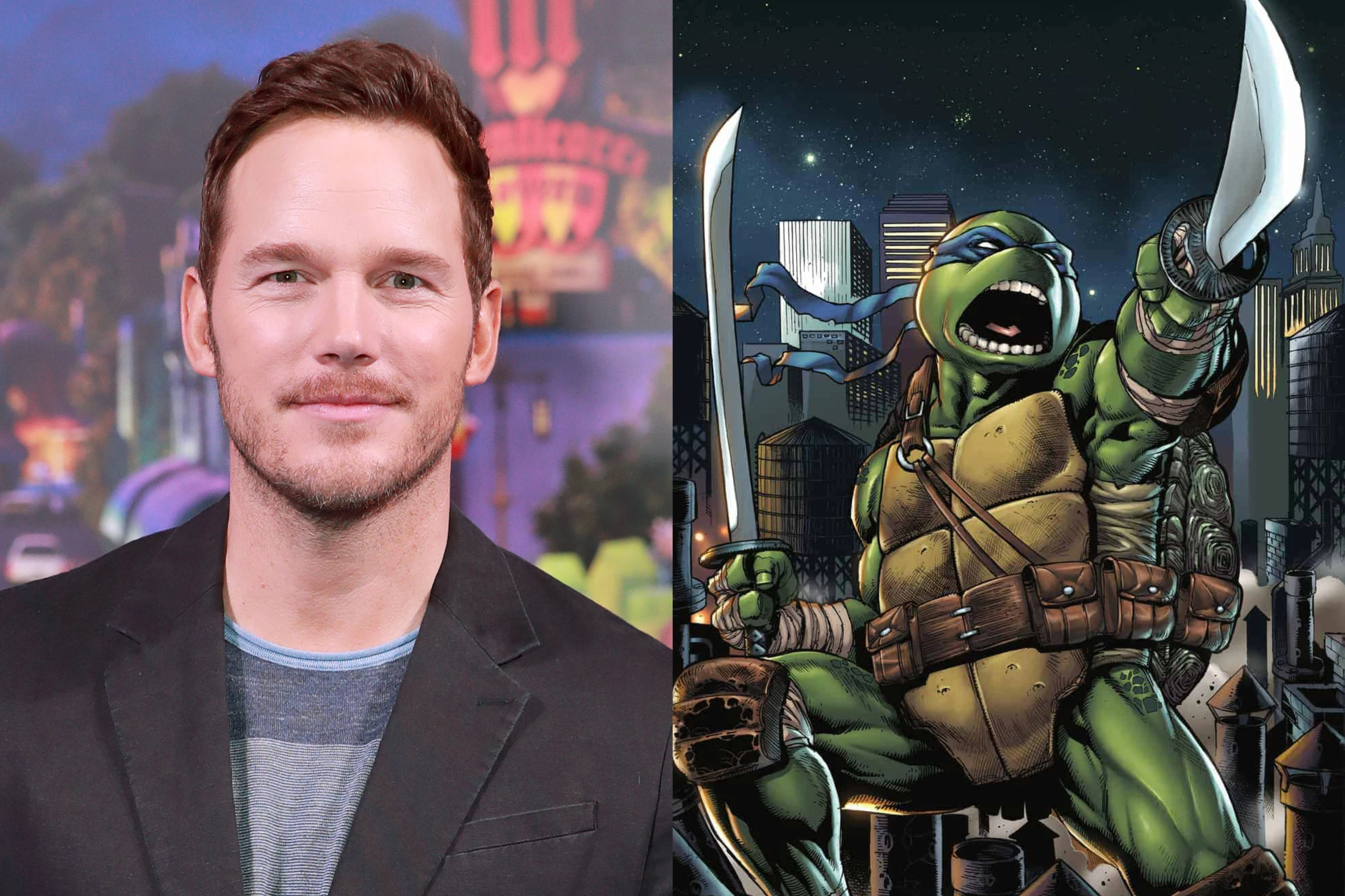 My Input For Seth Rogen’s TMNT Movie | Fandom