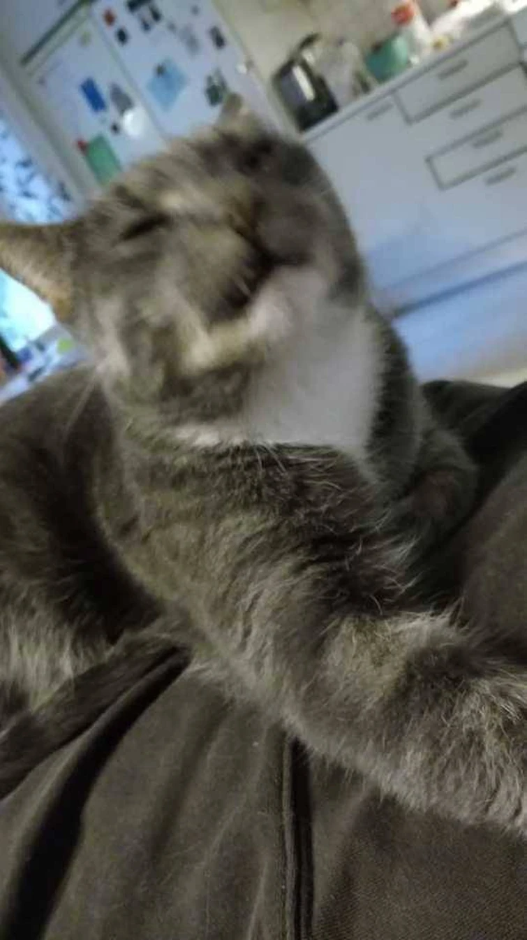 Hello guys! I’m new here😌 | Fandom