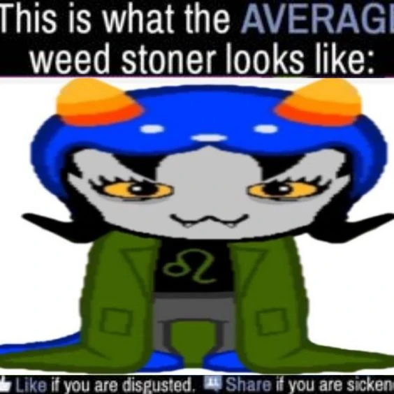 This is what the AVERAGE weed stoner looks like:Like if you are ...