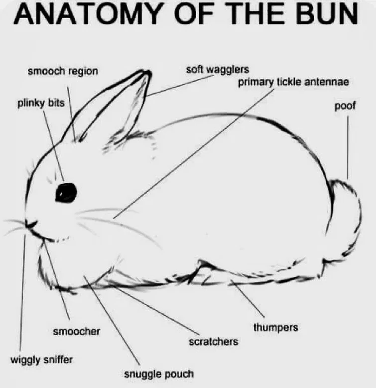 Discuss Everything About Calamity Corp Wiki | Fandom