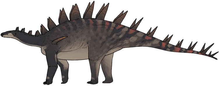 Which stegosaur do you wanna use for your PFP? | Fandom