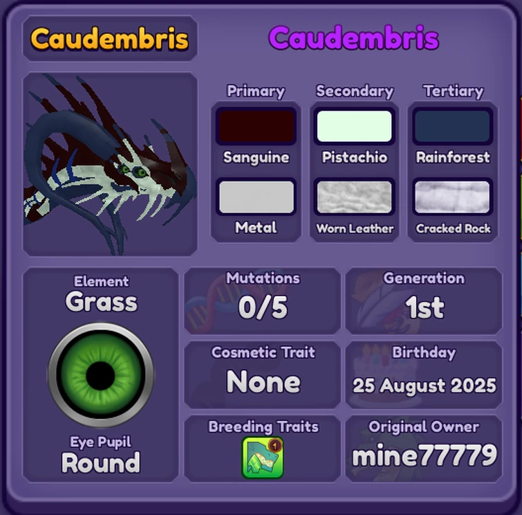 Discuss Everything About Dragon Adventures Wiki | Fandom