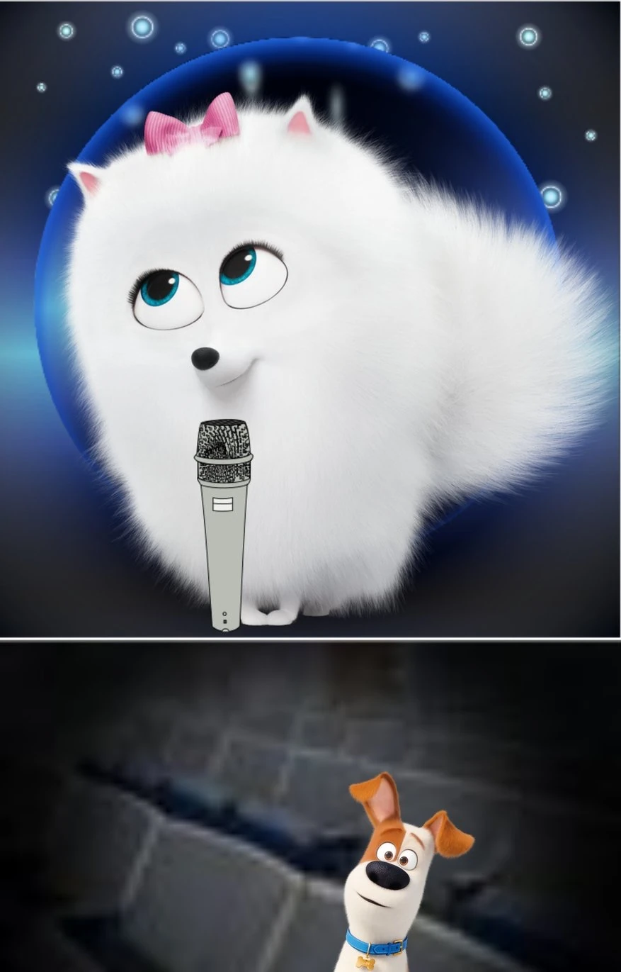 Can you imagine Gidget singing this song to Max and would he like it ...