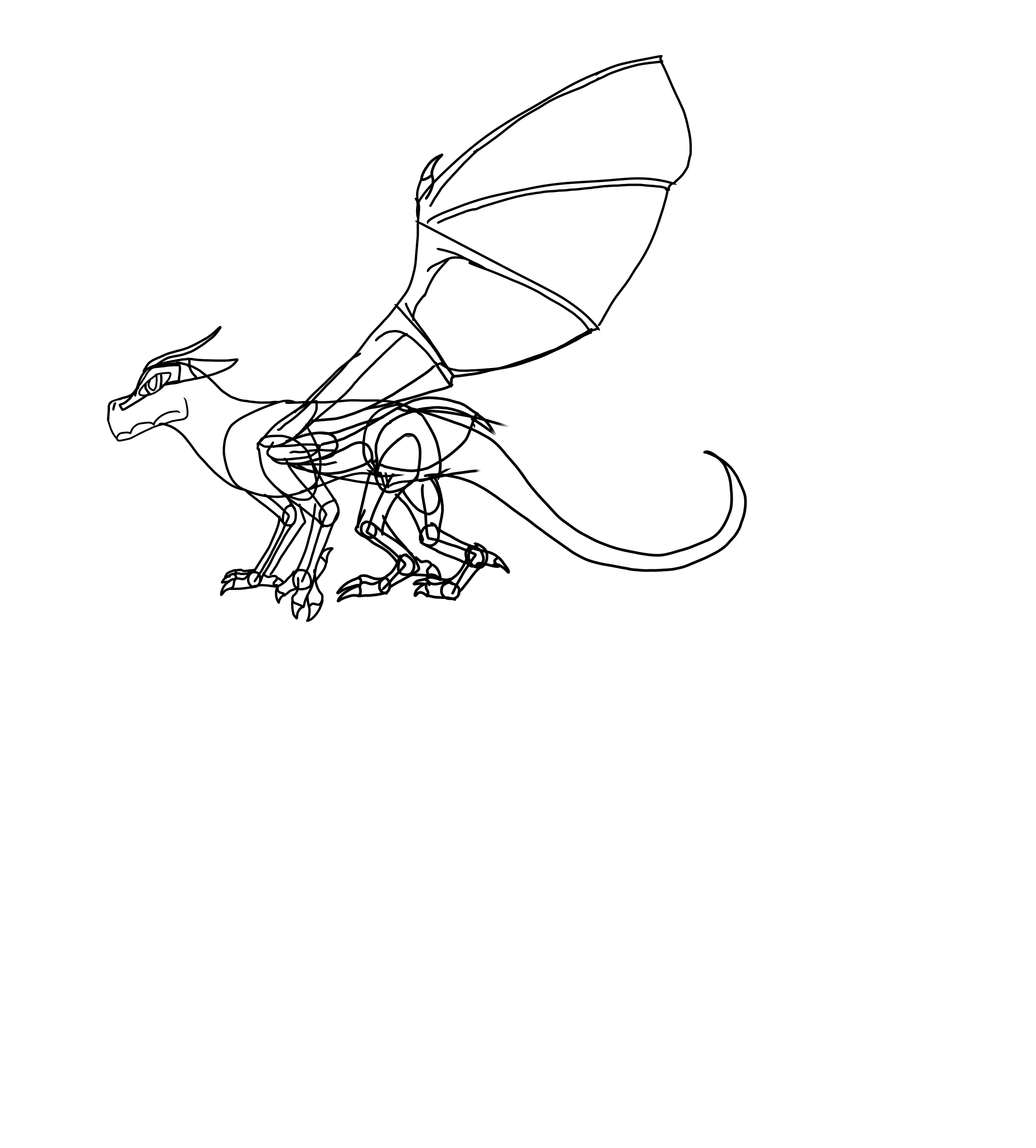 Silkwing base attempt sketch #1 | Fandom