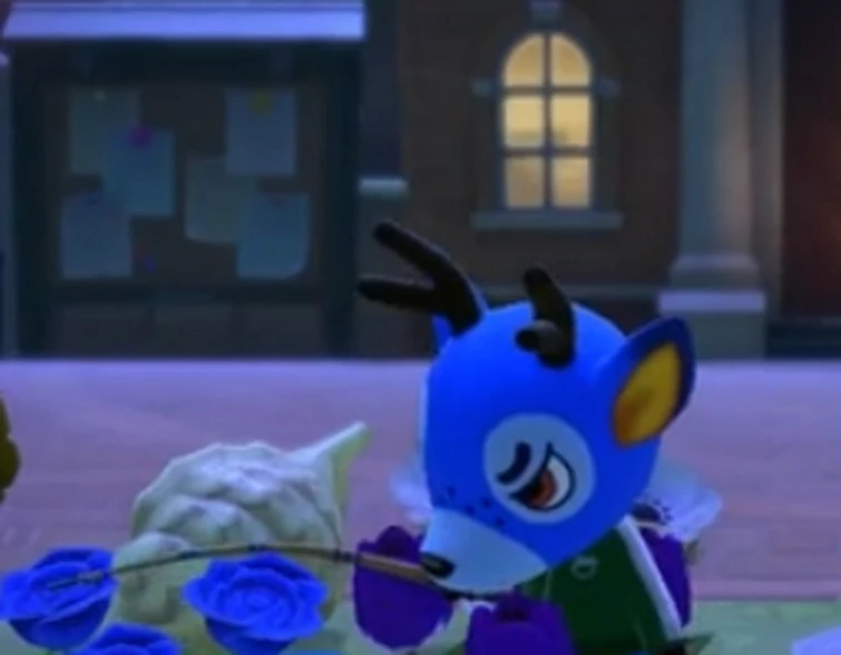 Discuss Everything About Animal Crossing Wiki | Fandom