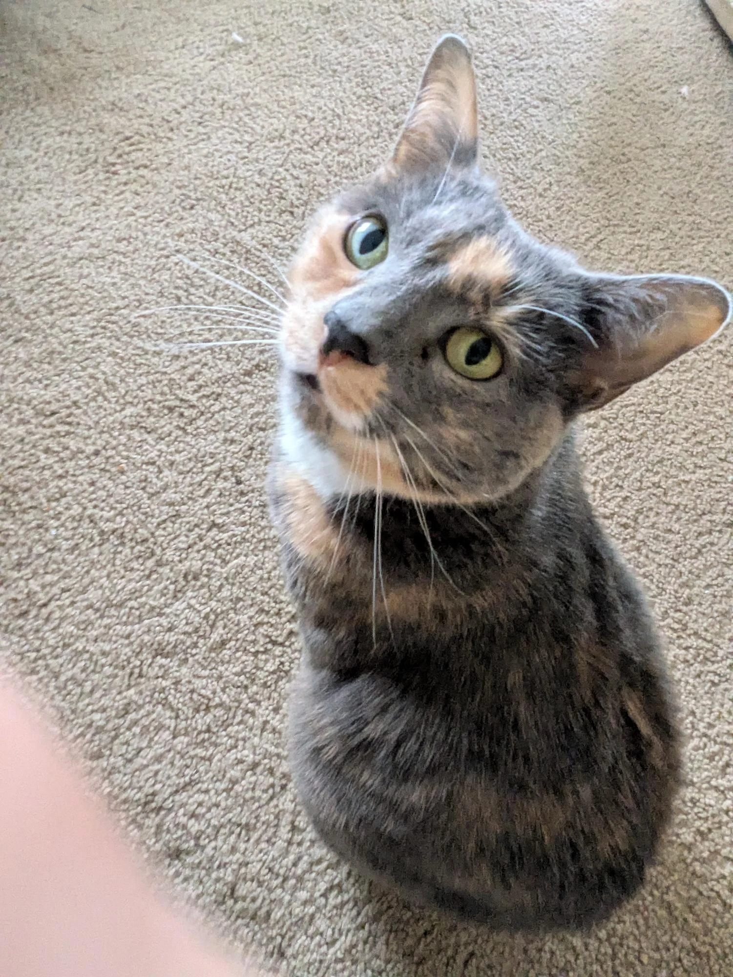 Brand new pfp:) | Fandom