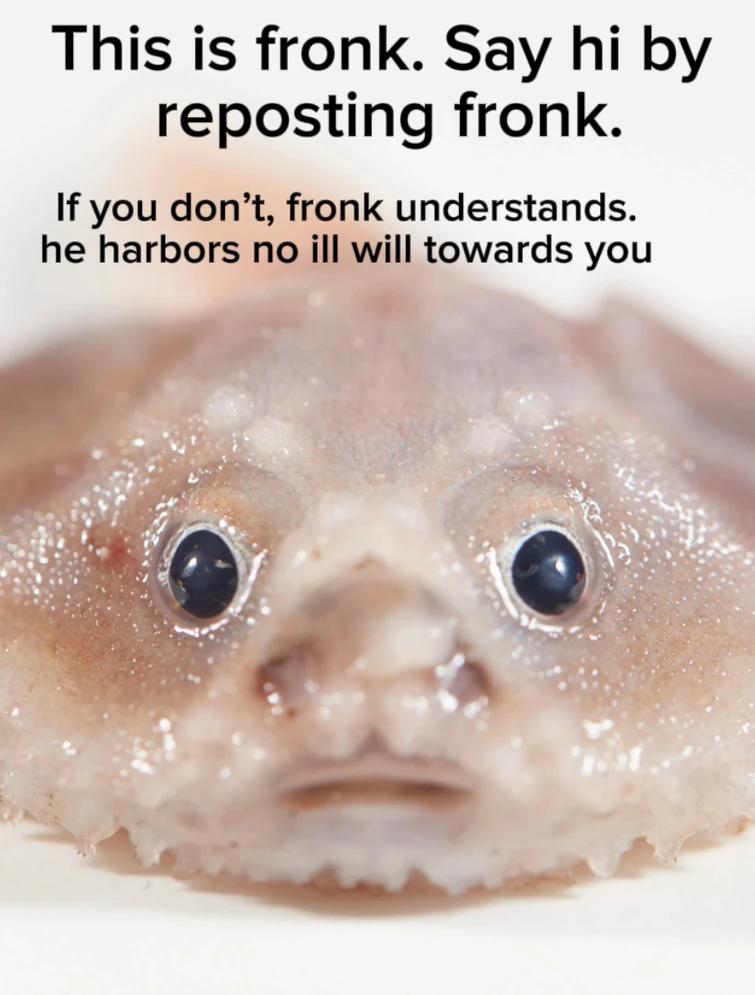 Deep sea fish are precious | Fandom