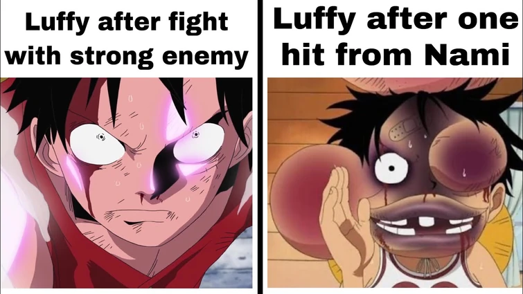 One piece memes pt 1 | Fandom