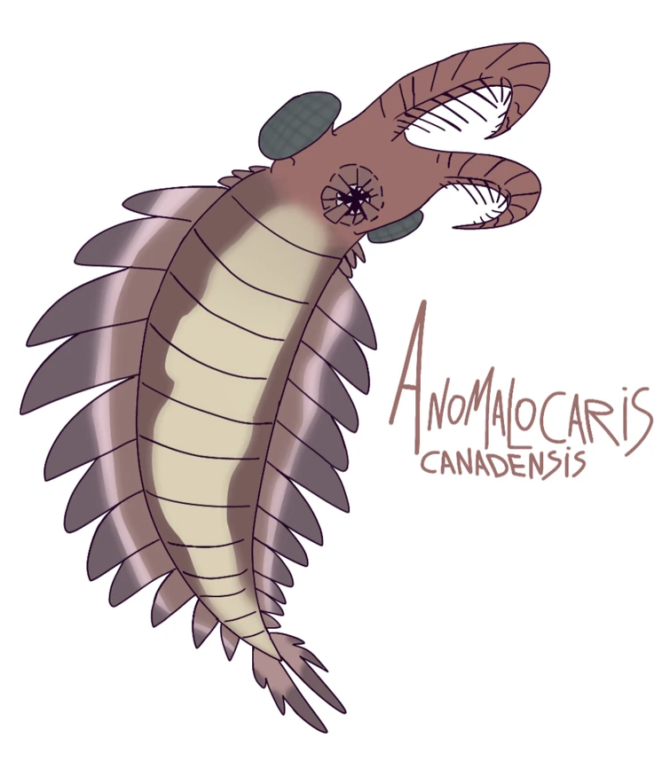 Discuss Everything About Dinopedia | Fandom