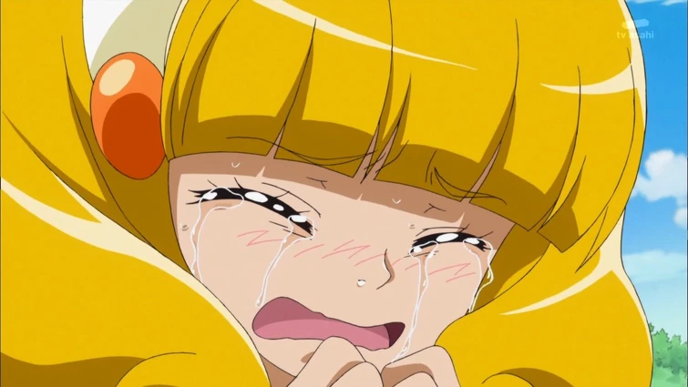 POV: A bully is bulling your favorite pretty cure character! | Fandom