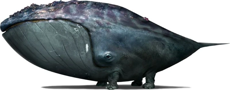 I think Bunyip is a land whale | Fandom