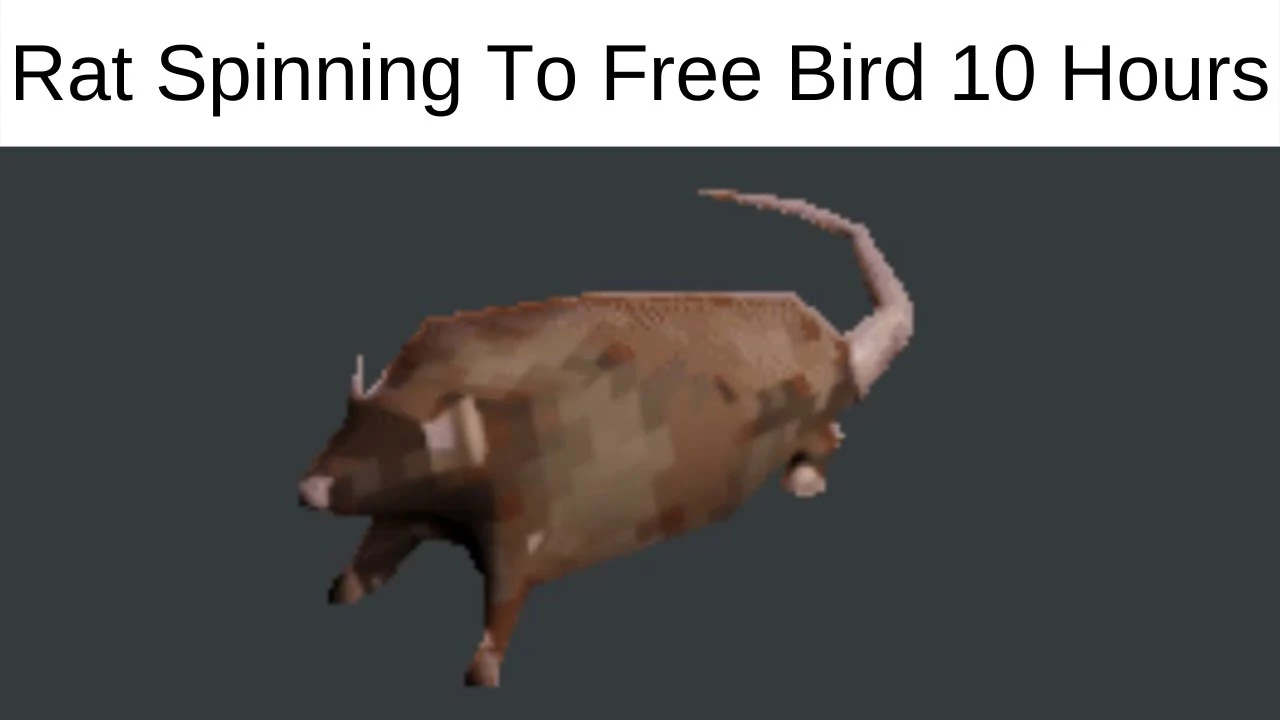 here’s your hourly spinning rat post | Fandom