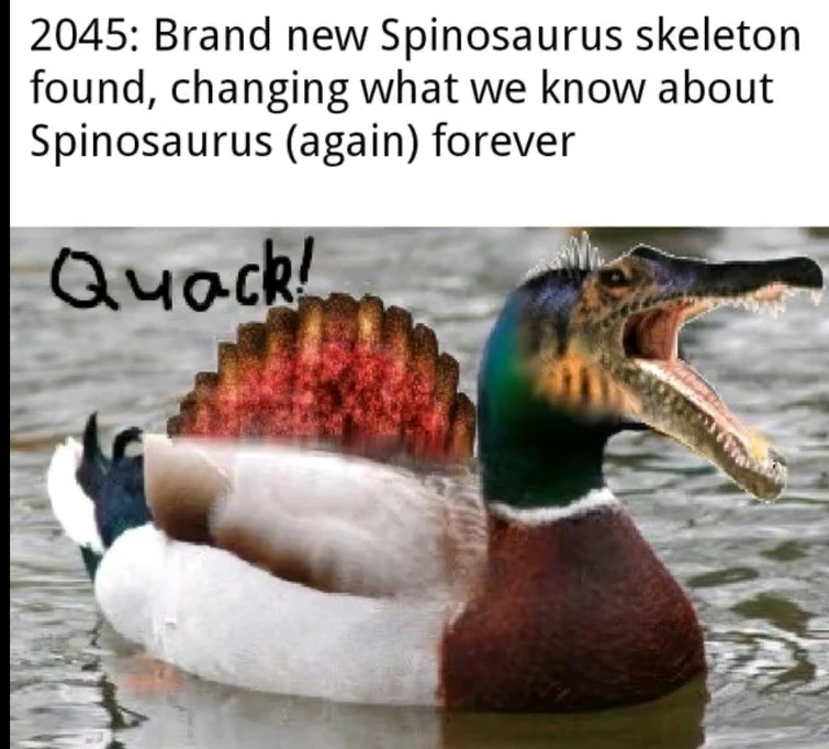 Paleo Meme Market! | Fandom