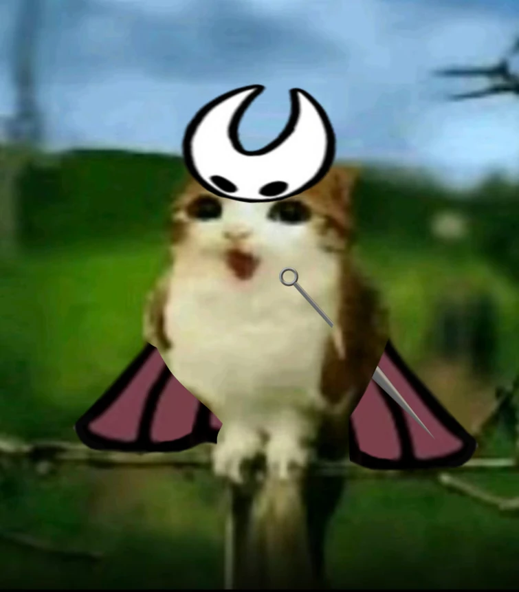 Last chance to get a free meowl pfp!!! | Fandom