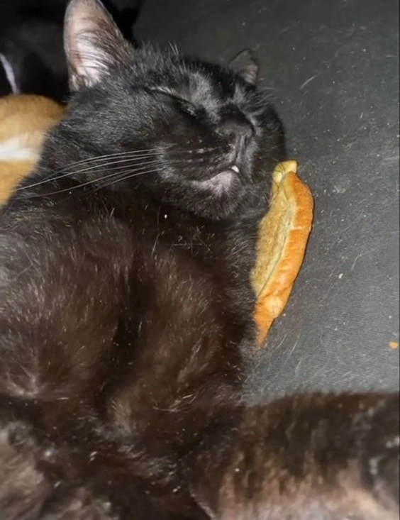 No Context #92 | Fandom