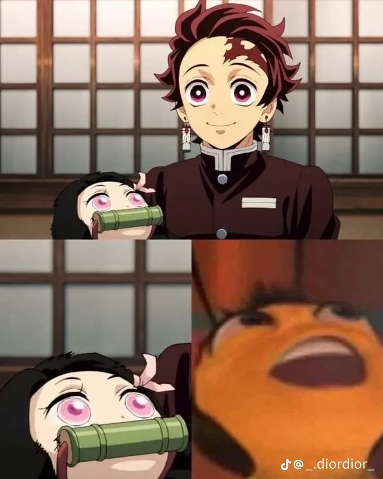 Why do I find this funny | Fandom