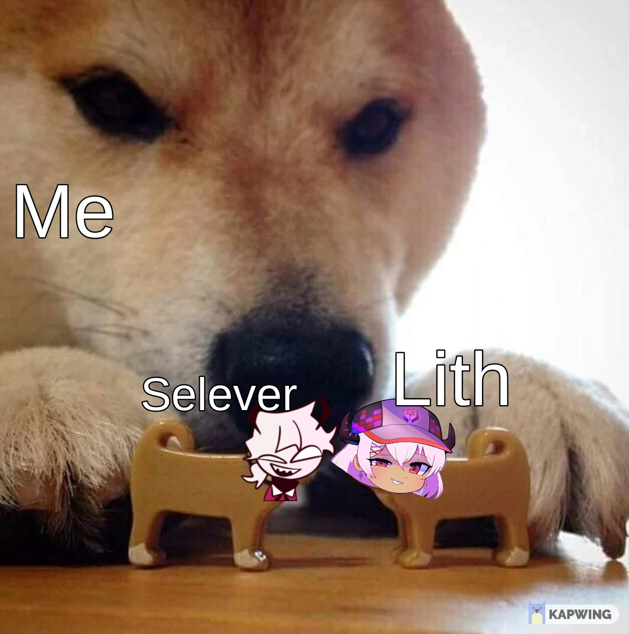 Lith X selever meme | Fandom