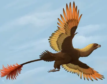Best Extinct Bird? | Fandom