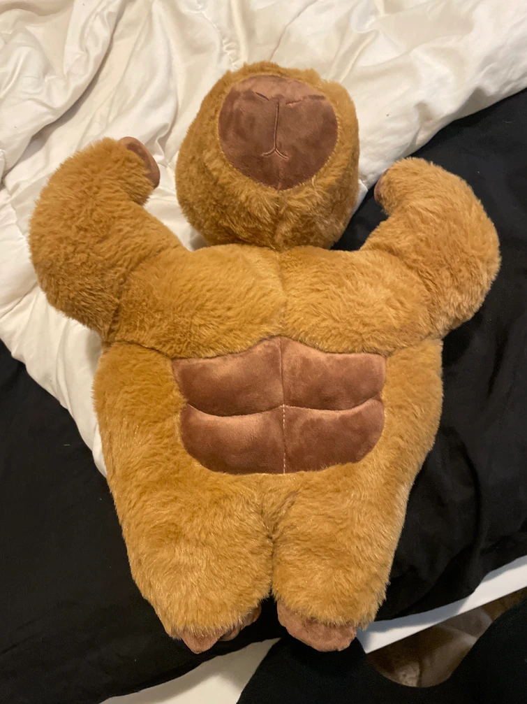 This is what 100$ gets you in a mall | Fandom