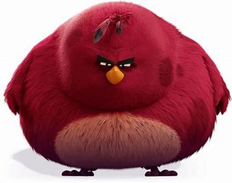 Im The Biggest Bird Fandom