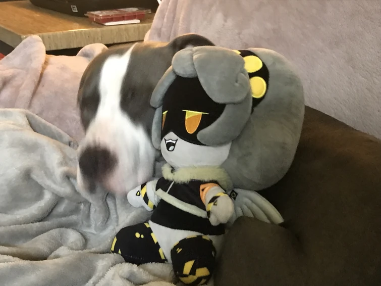 Doggo sleeping with pyscho | Fandom
