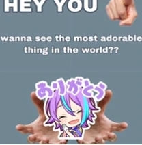 Woaaaaa waooooo | Fandom