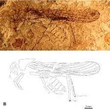 Discuss Everything About Prehistoria Fandom | Fandom