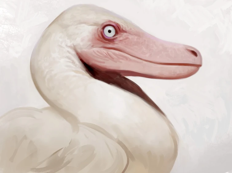 Discuss Everything About Spin Wheel Battles/Tyrant Universe Wiki | Fandom