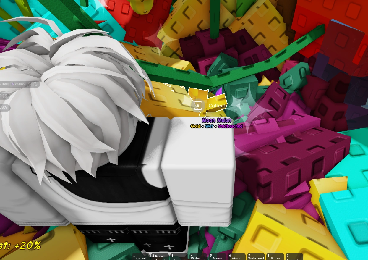 Gold moon melon + voidtouched | Fandom