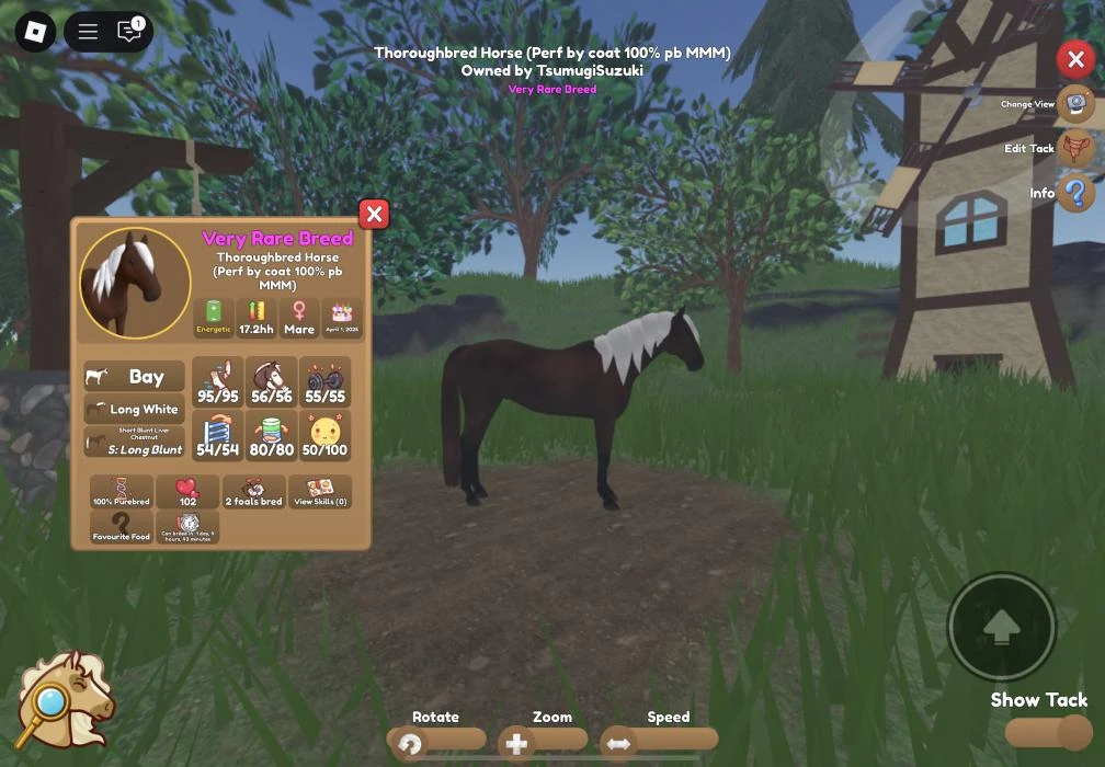 Swapping for a pretty mm fri | Fandom