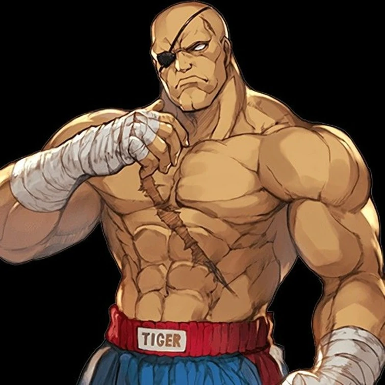 If Sagat was in DB Who should he fight if he was in DB? | Fandom