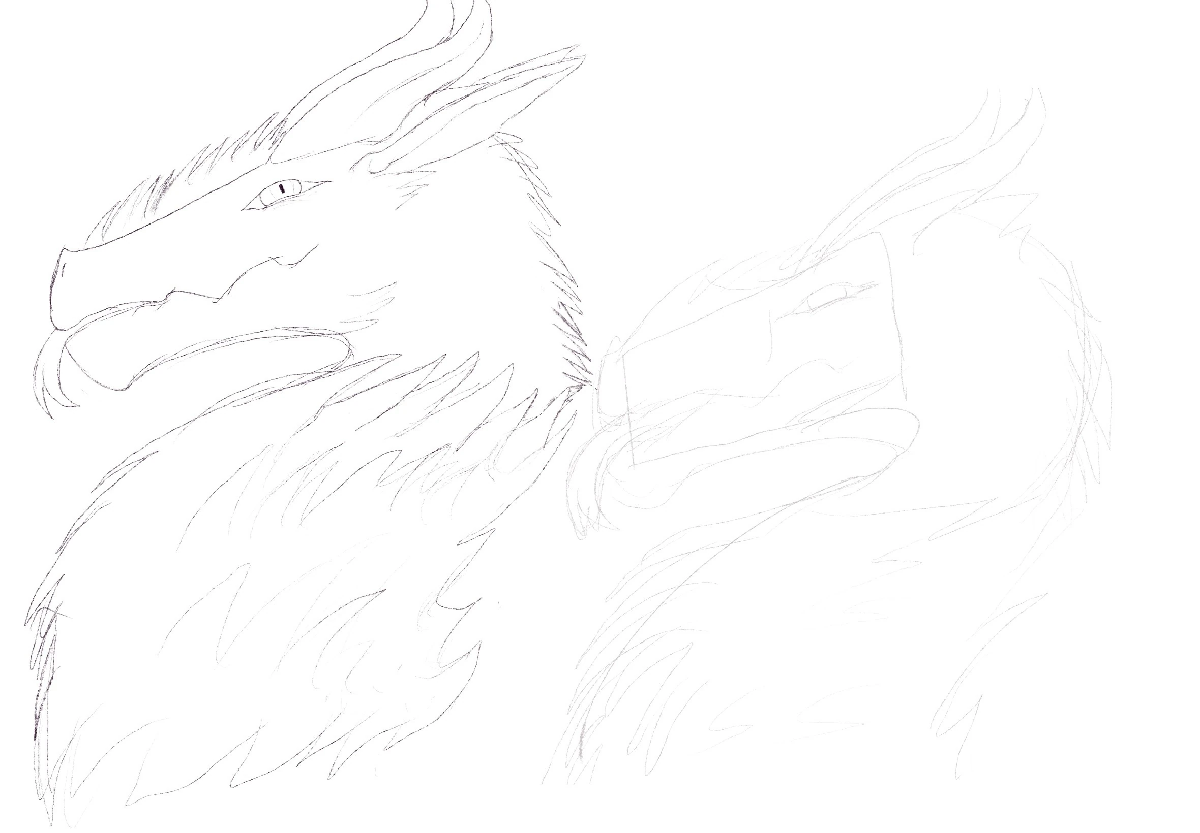 I'm bored so give me your dragons to draw | Fandom