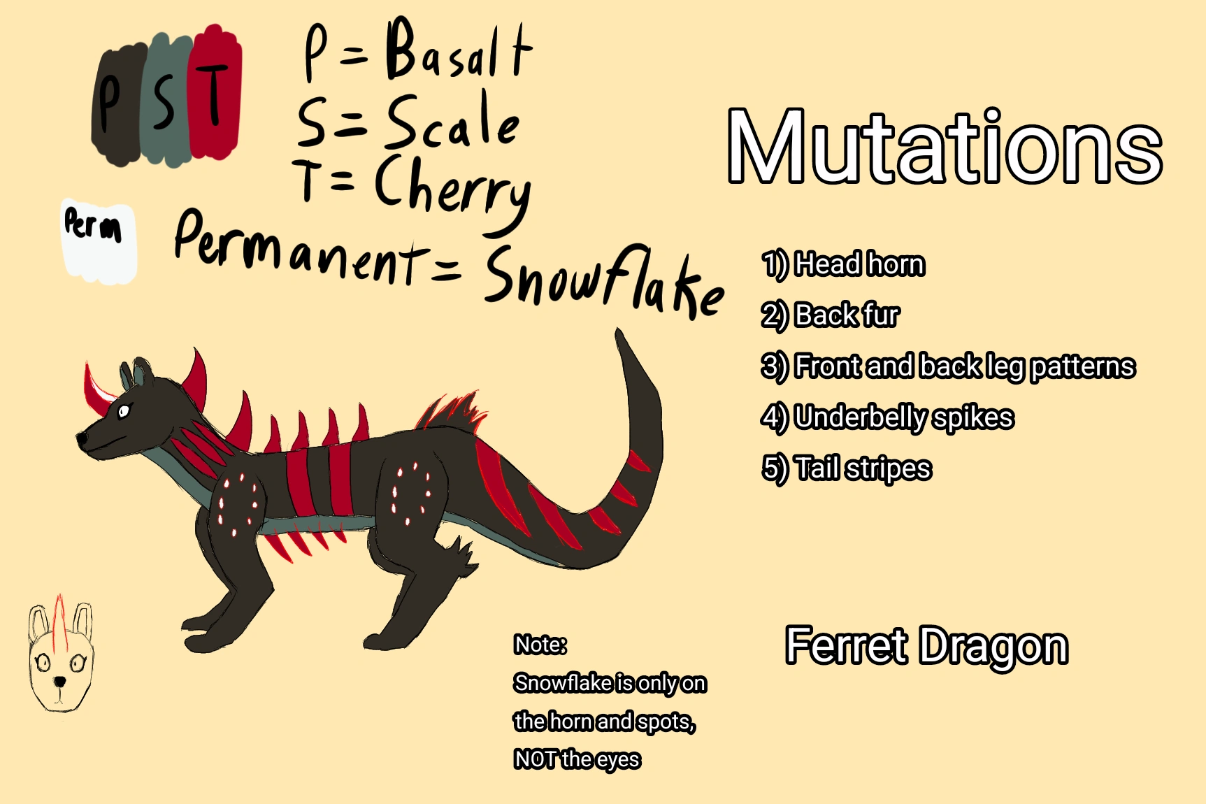 Ferret concept :> | Fandom