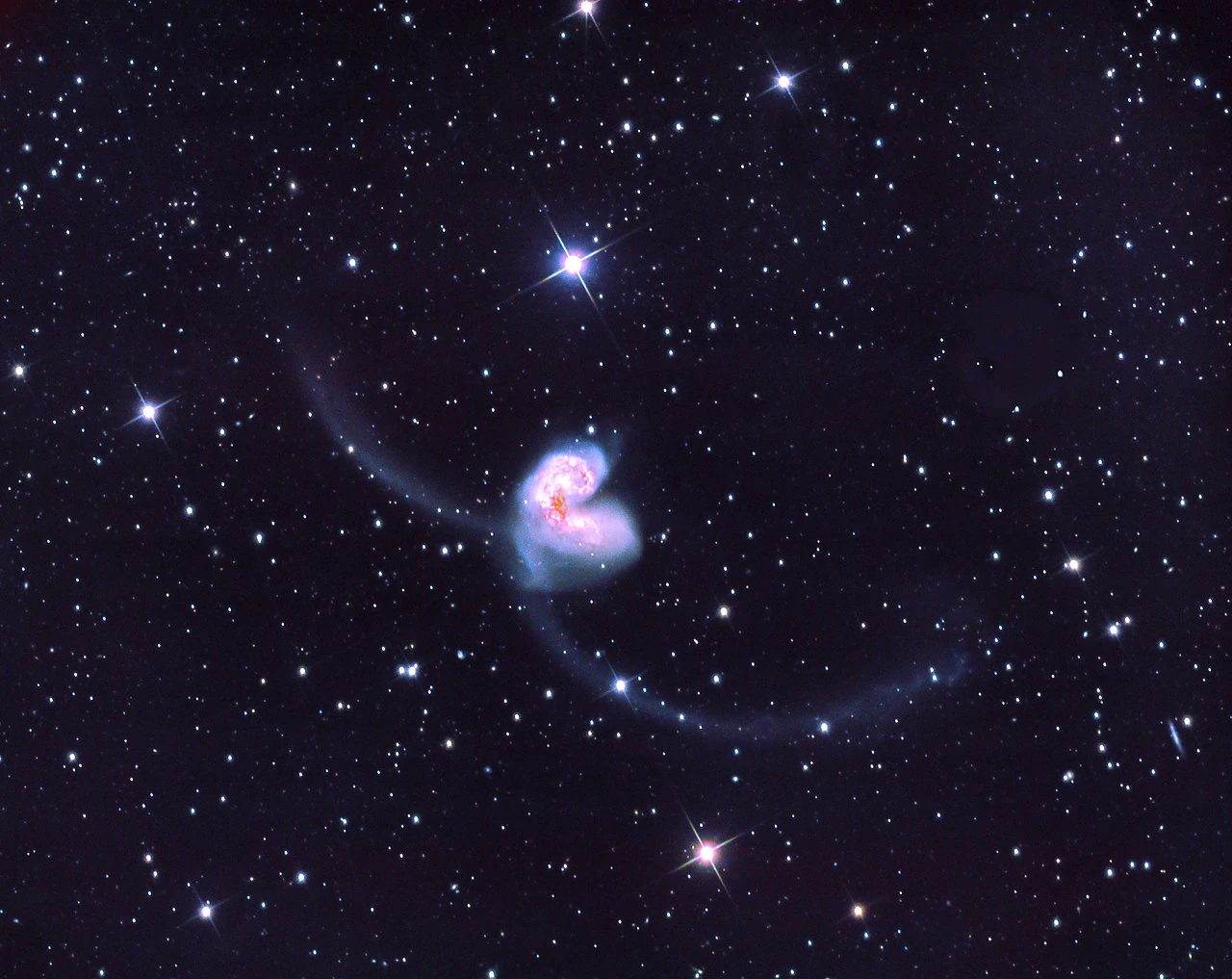 Cosmos. | Fandom