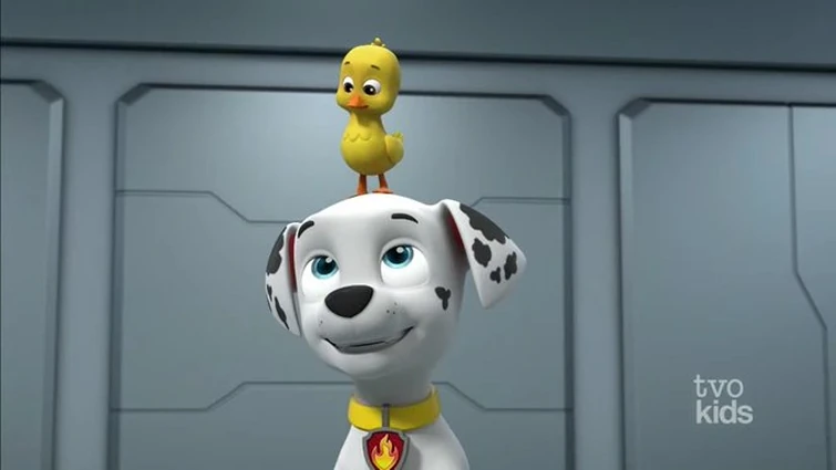 Is this Fuzzy? | Fandom