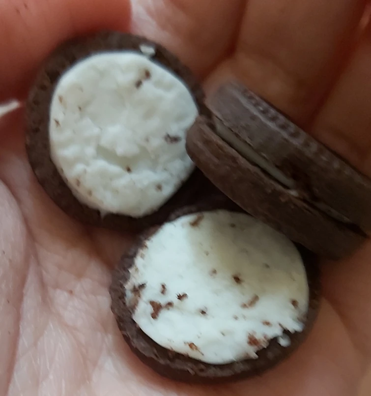 Discuss Everything About Catch! Teenieping Wiki | Fandom