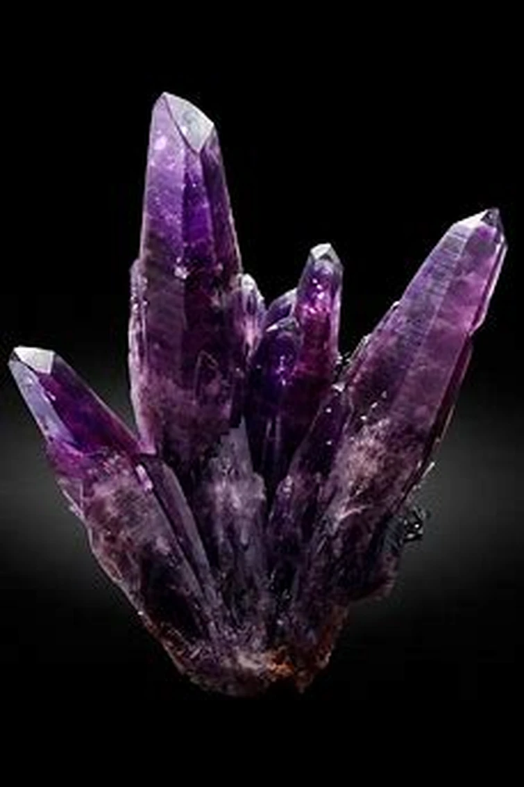 Discuss Everything About The Bad guys Wiki | Fandom