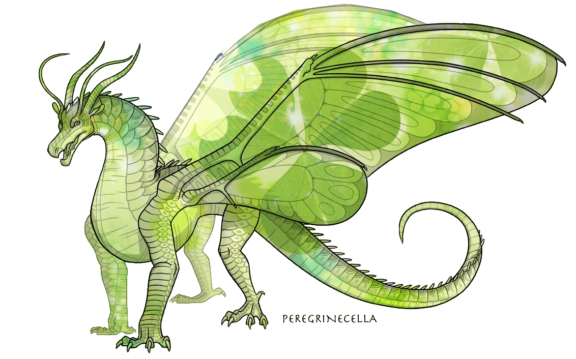 SilkWing Adopt! | Fandom