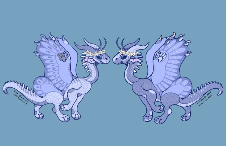 Random basefill of a mudwing and silkwing | Fandom