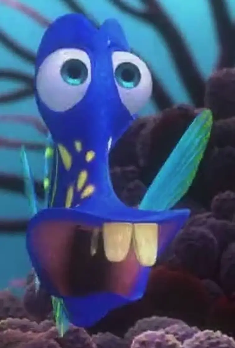 Did anyone else think this fish from Nemo was a dude? | Fandom
