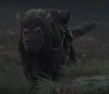 Discuss Everything About Wookieepedia | Fandom