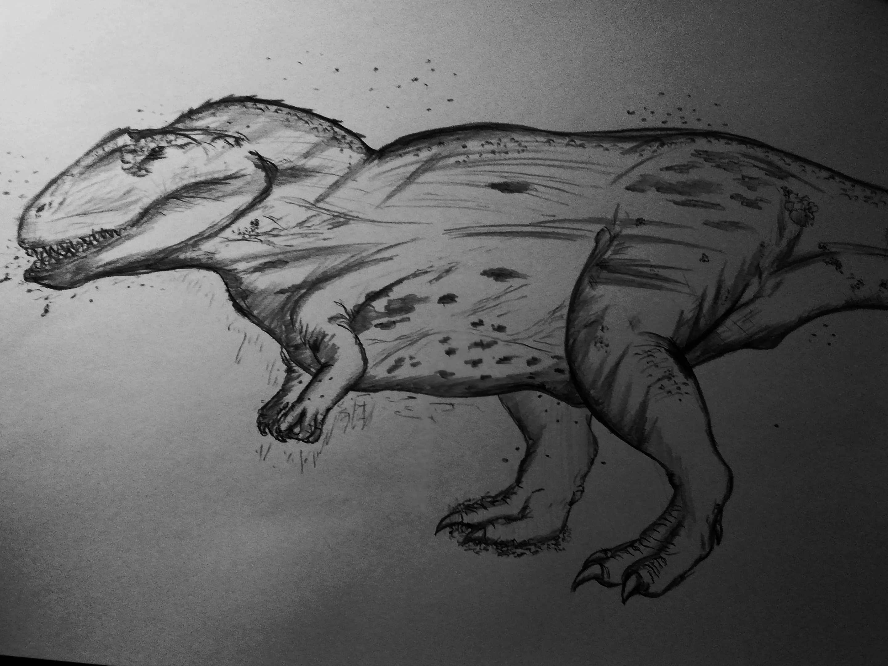 Carcharodontosaurus | Fandom