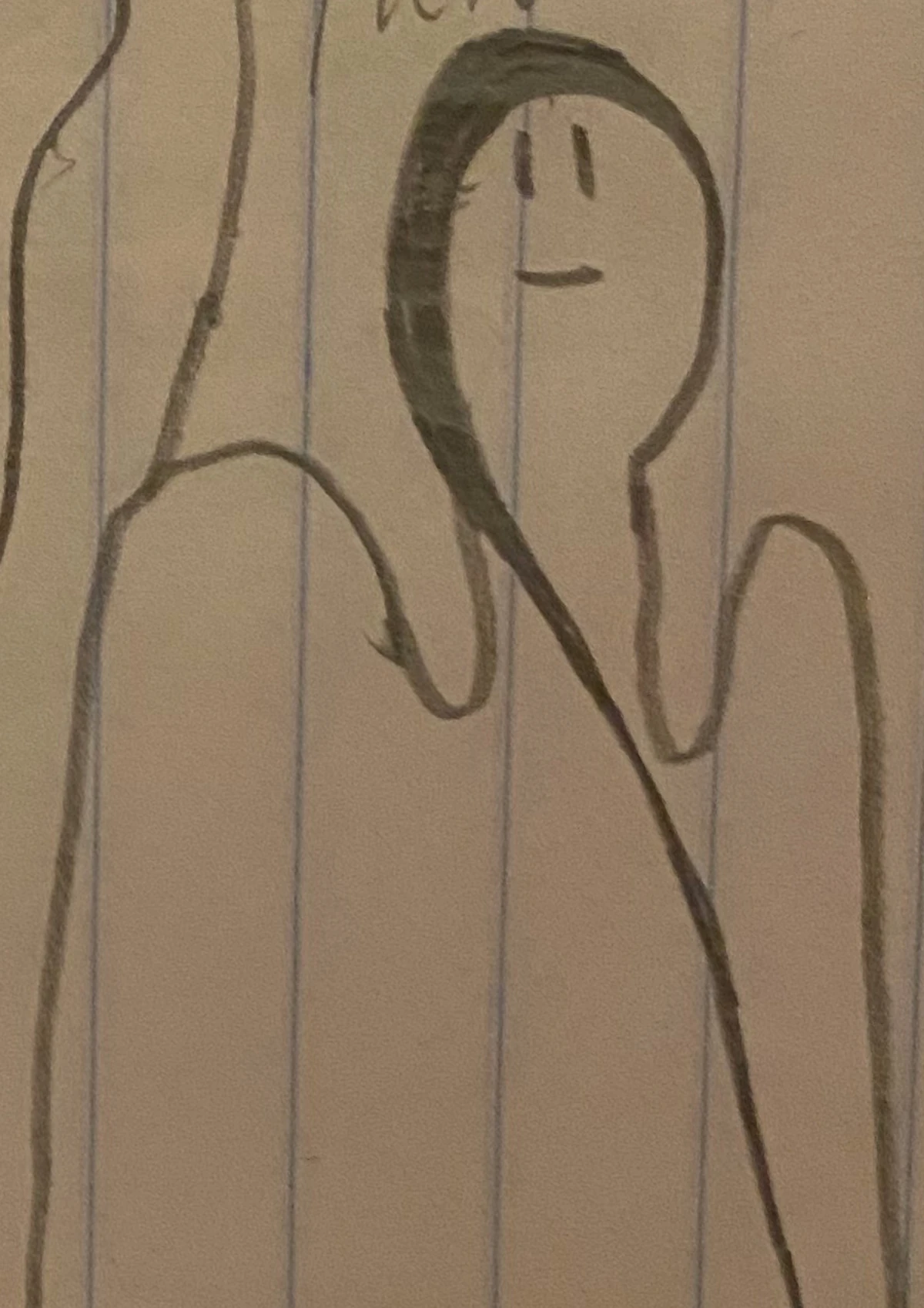 Heidi Castle | ... Wiki | Fandom