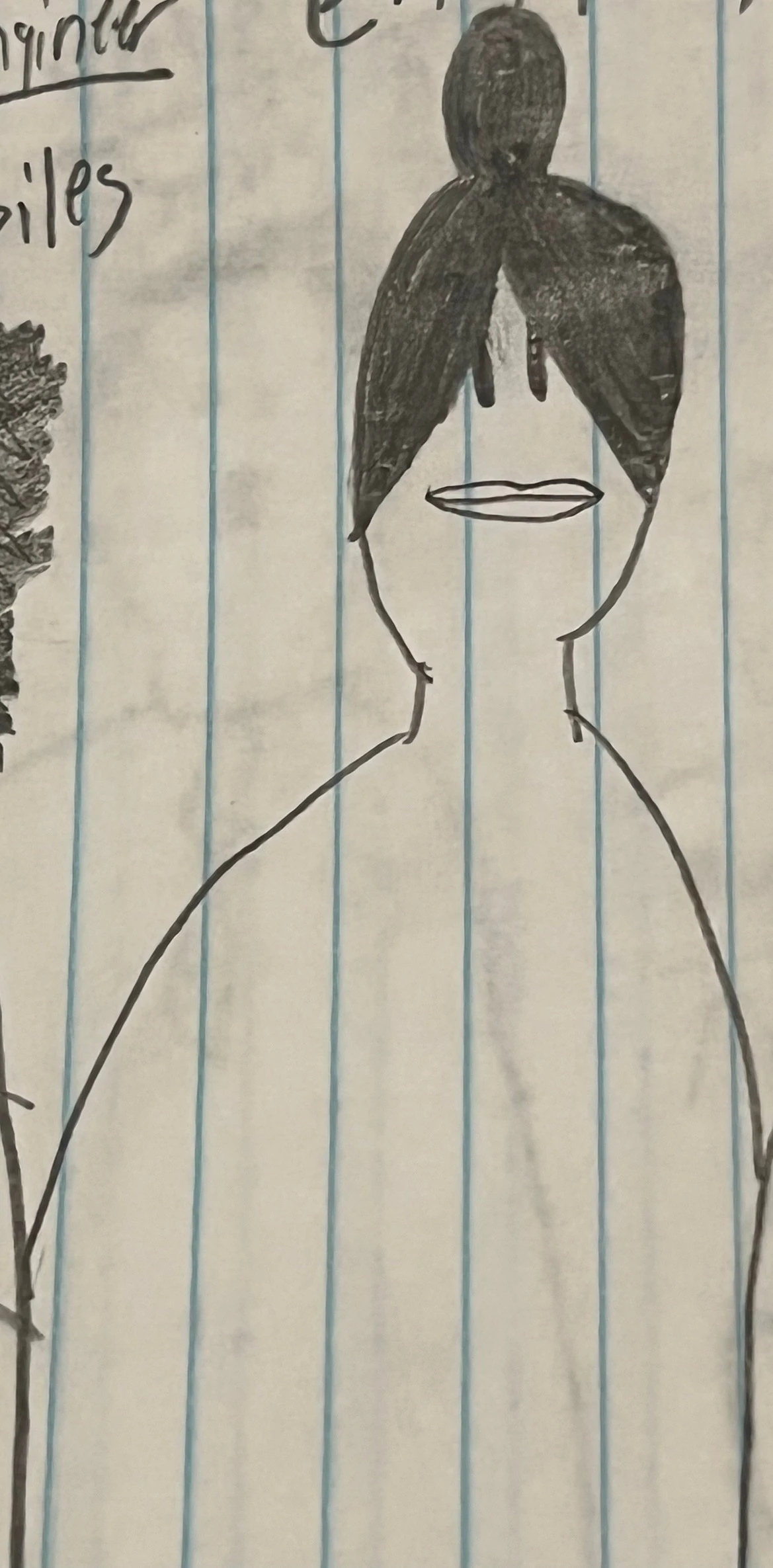 Emily Parks | ... Wiki | Fandom