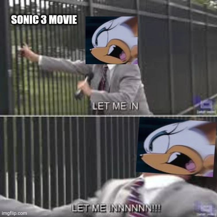 Rouge gets rejected from the Sonic 3 Movie (MEME) | Fandom