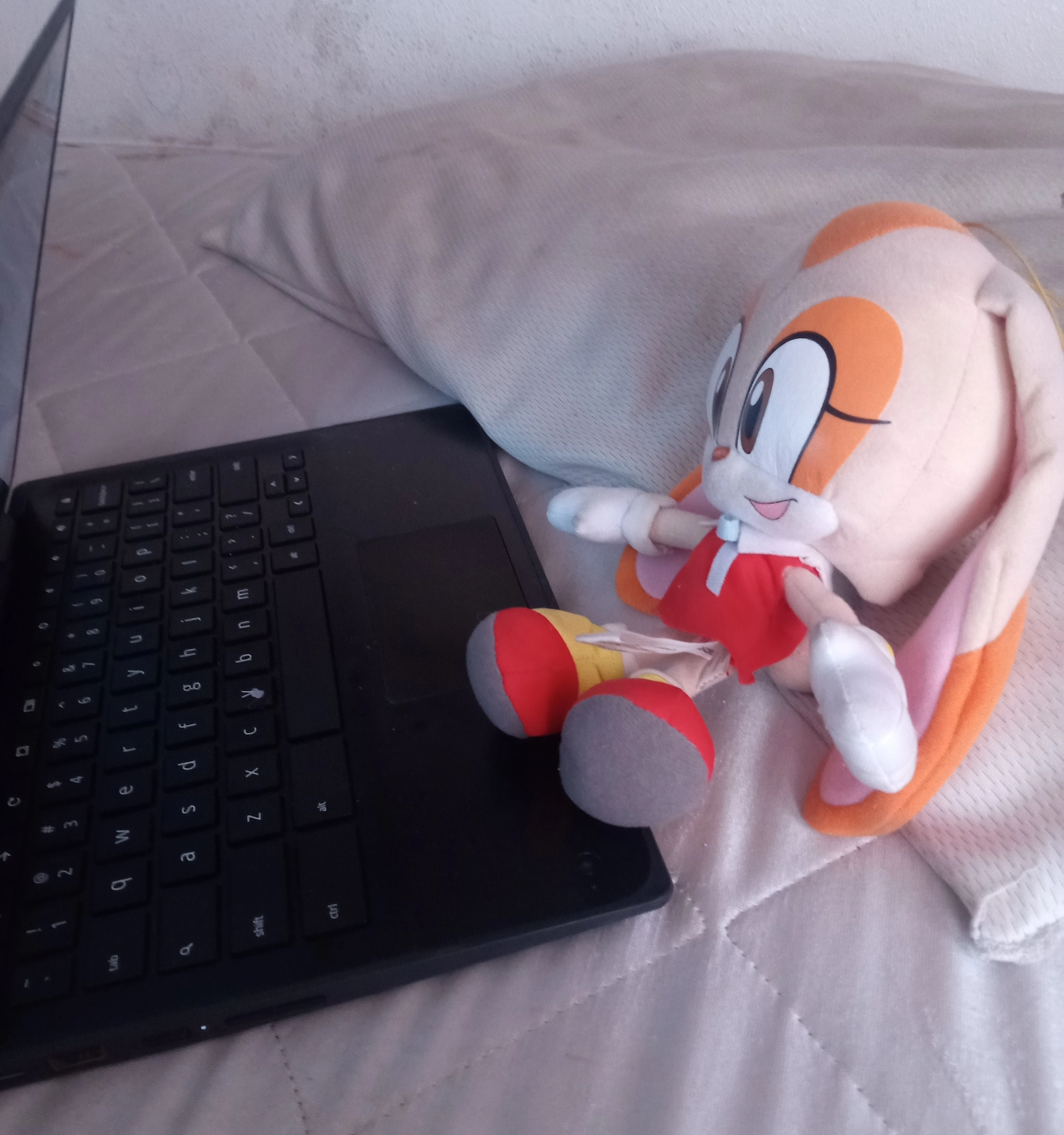 ( What is she doing on my Chromebook) | Fandom