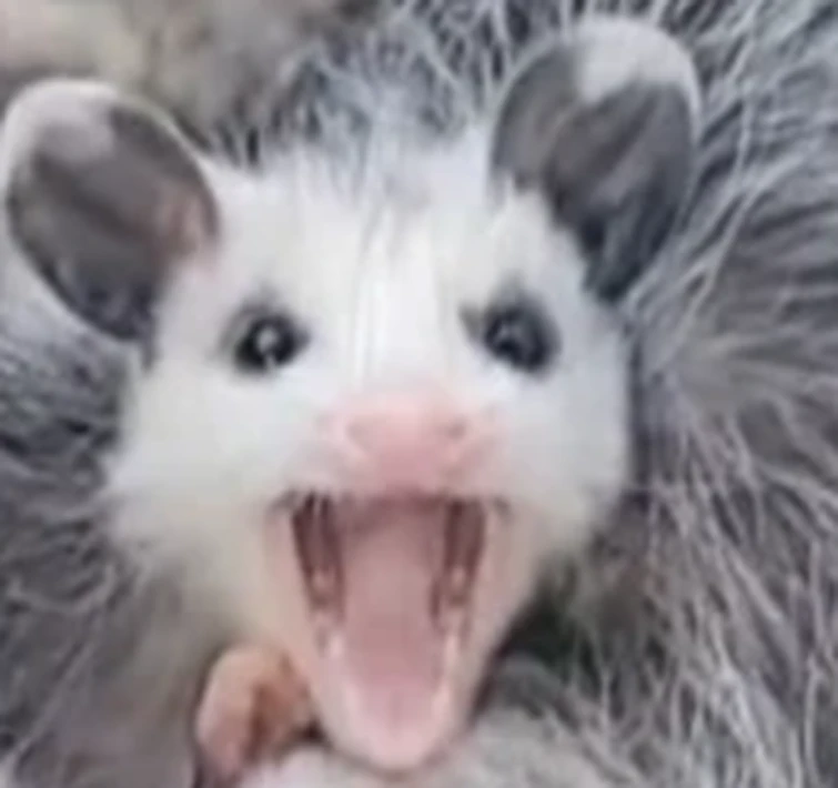 Parx's Random Ahh Character Voting Signups (third wave) | Fandom